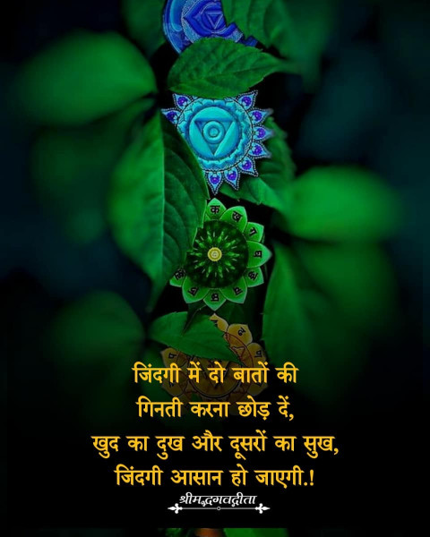 Bhagwan K Quotes