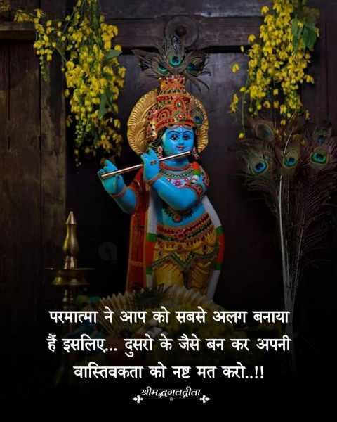 Bhagwan K Quotes
