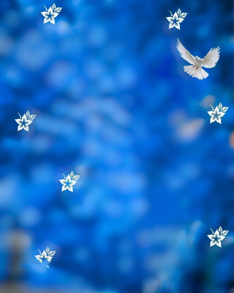 Bird Photoshop Photo Editing BAckground Full HD Download | OyePhoto