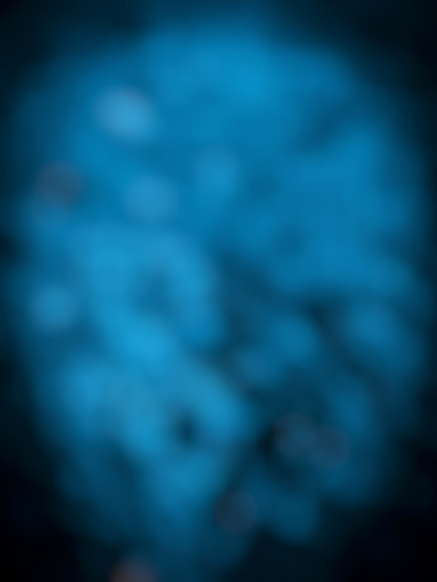 Blue Snapseed Photo Editing Background For CB Picsart | OyePhoto