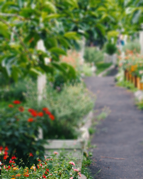 Blur Garden Photo Editing Background Download Full HD | OyePhoto