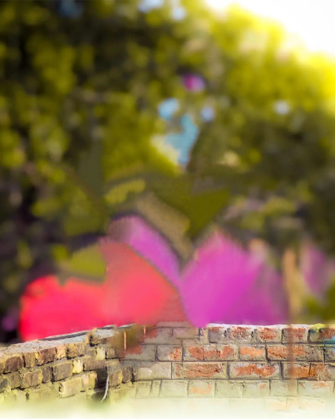 Blur Nature Editing Background CB For Free Download Images | OyePhoto