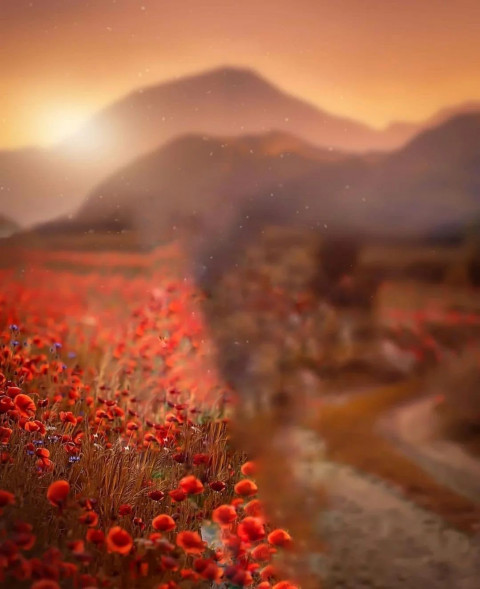 Blur Picsart HD Background Download For CB Photo Editing | OyePhoto