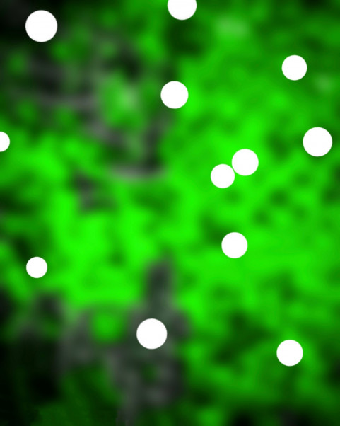 Bokeh Green CB Background New For Photoshop PicsArt Editing | OyePhoto