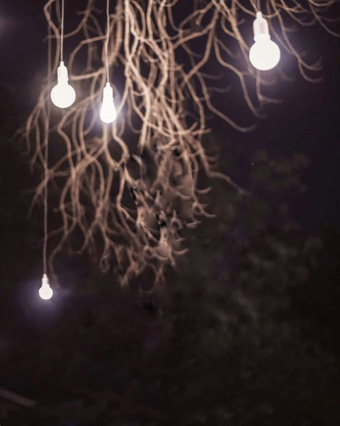 Bulb Light Picsart Background Images Download Free | Image Free Download