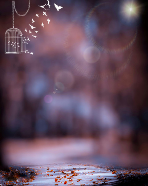 Hd Photoshop Backgrounds