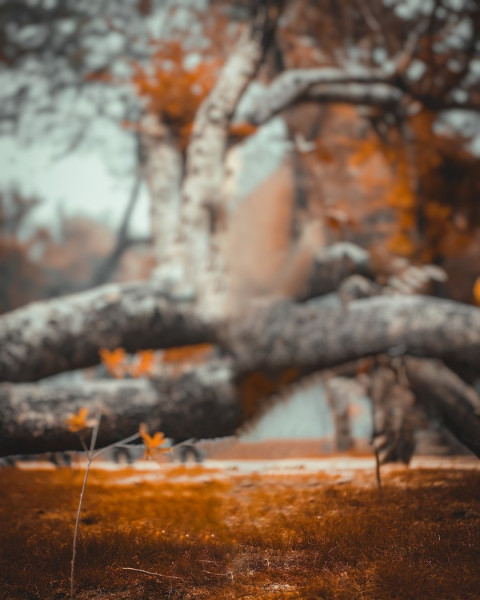 Editing Picsart Background Hd Images Zip File Free - Infoupdate.org