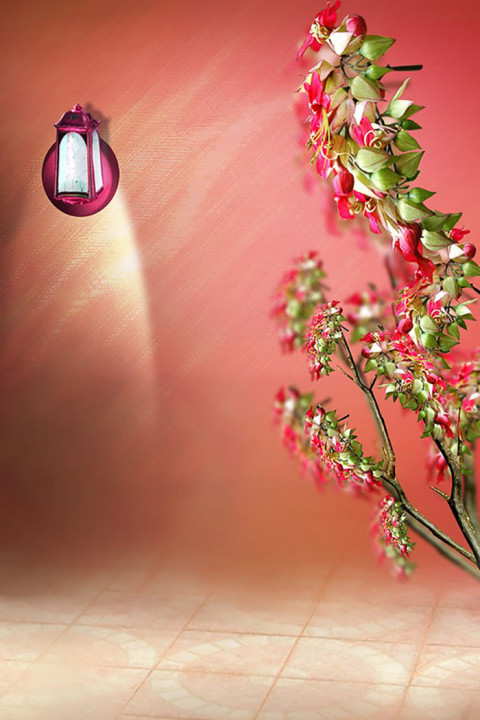 Flower Studio Background HD Download Free | OyePhoto