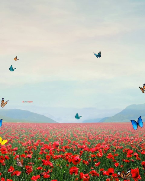 Flowers picsart background Editing full hd | OyePhoto