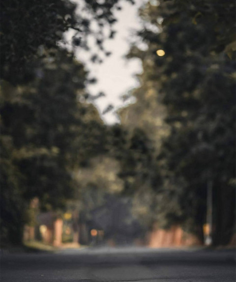 Forest Blur Cb Editing Background For Picsart Photo | OyePhoto