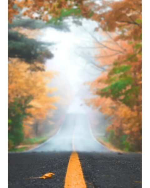 Editing Wallpaper Hd Photo Editor