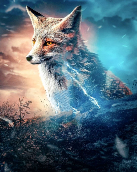 Fox Picsart New BAckground Full HD For Photo Editing | OyePhoto