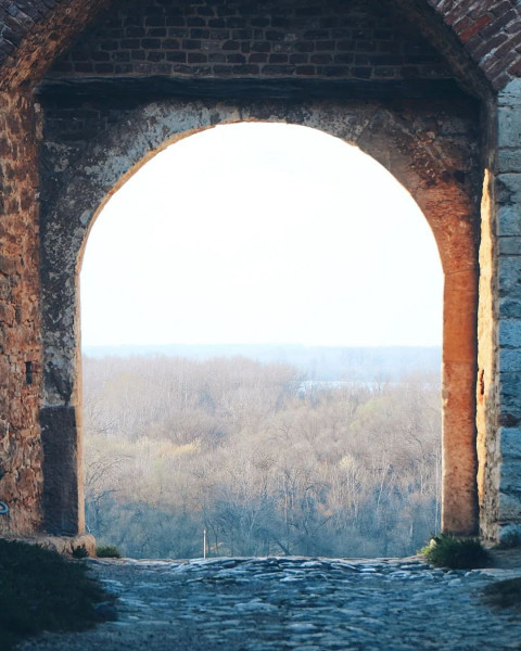 Get Viral Photo Editing Background Download | OyePhoto