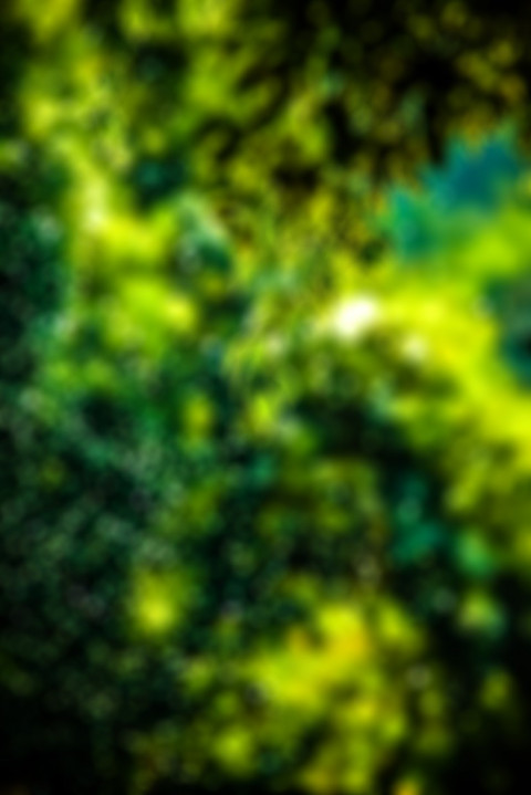 Green Forest CB Picsart Background HD For Photoshop Editing Free | OyePhoto