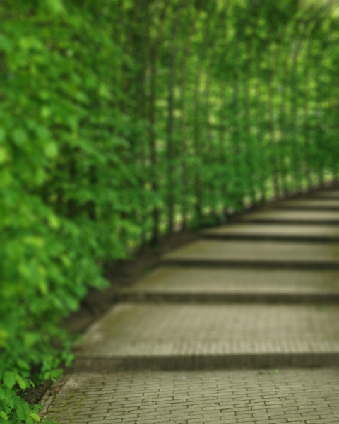 Green Garden CB Picsart Photo editing Background Pics | OyePhoto