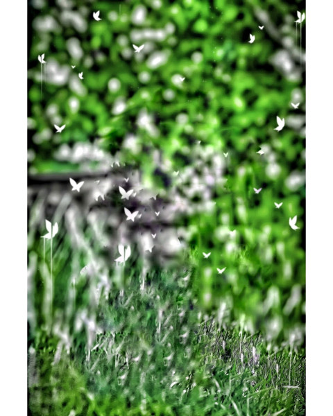 Green Nature Background HD Download For CB Photoshop Editing | OyePhoto