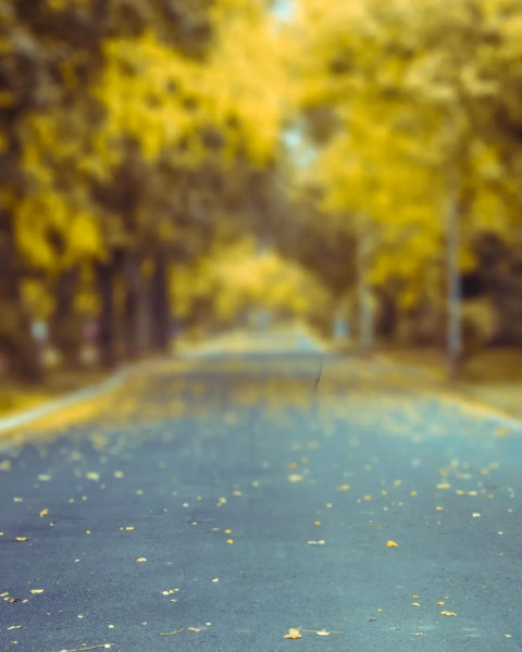 HD Background Nature Images EDiting CB Pictures Free | OyePhoto