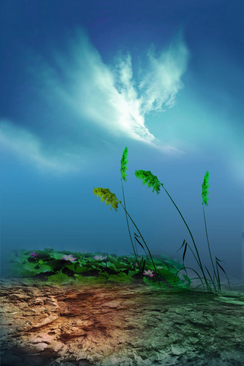 Home Studio Backdrop Cb Background Download Pic | OyePhoto