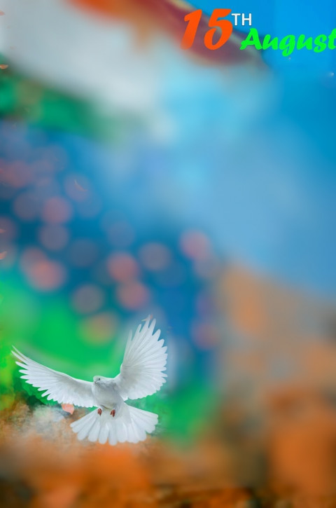 Independence Day 15 August Editing Background New Images Dp | OyePhoto