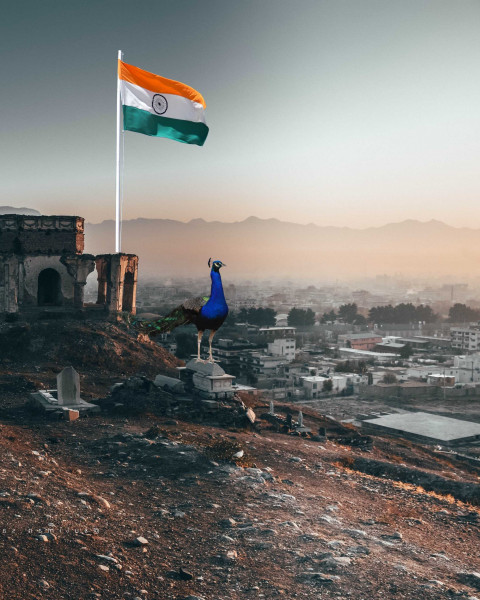 Independence Day Background HD For Photo Editing | OyePhoto