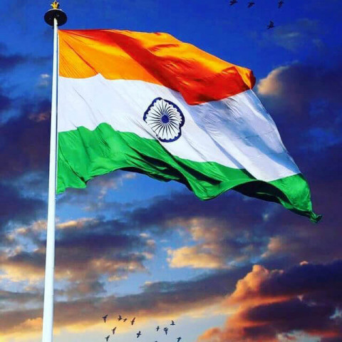 Indian Flag Tiranga Jhanda Picture for Whatsapp HD Photo | OyePhoto