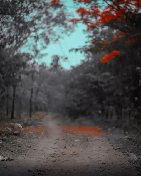 Background Wallpaper For Editing Photos - Infoupdate.org