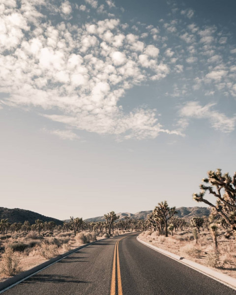 Instagram Trending Road Background For Picsart & Photoshop | OyePhoto