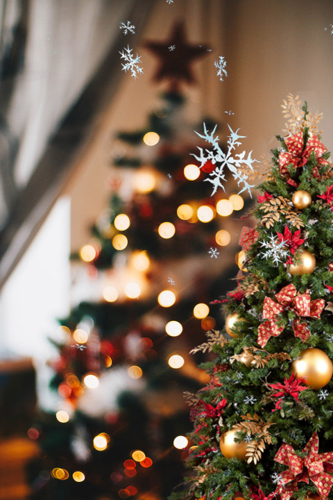 Merry Christmas Editing Tree CB PicsArt Background Full HD | OyePhoto