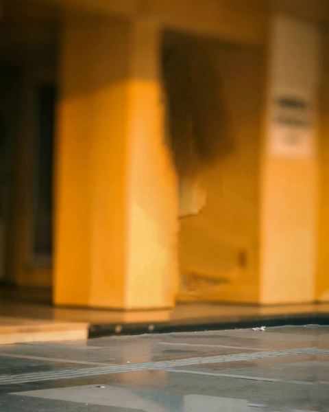 Nature Autodesk Photo Editing Background Download HD | OyePhoto