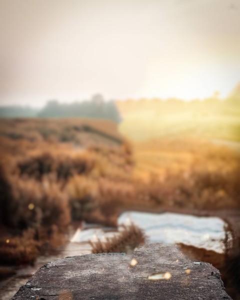 Nature Blue NSB Pictures Background For Photo Editing | OyePhoto