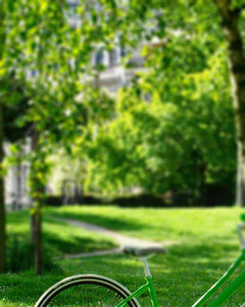 Nature Blur Garden Picsart Editing Background | OyePhoto