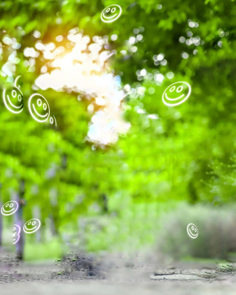 Green Background Hd For Picsart App - Infoupdate.org