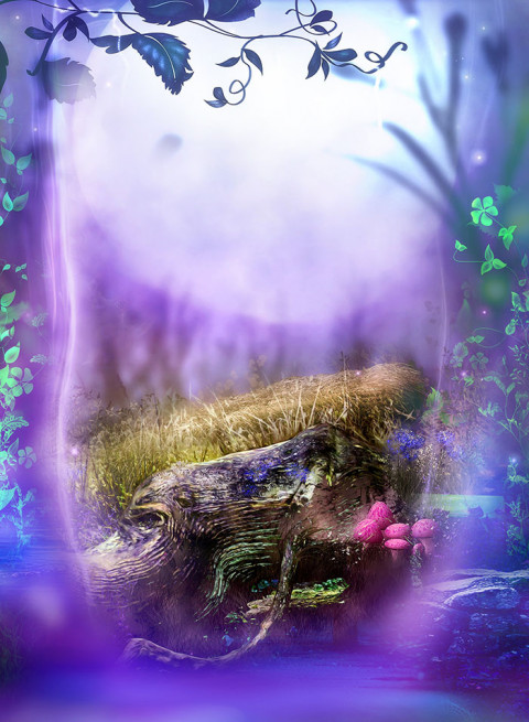 Nature Photo Studio Background HD Images Pics | OyePhoto