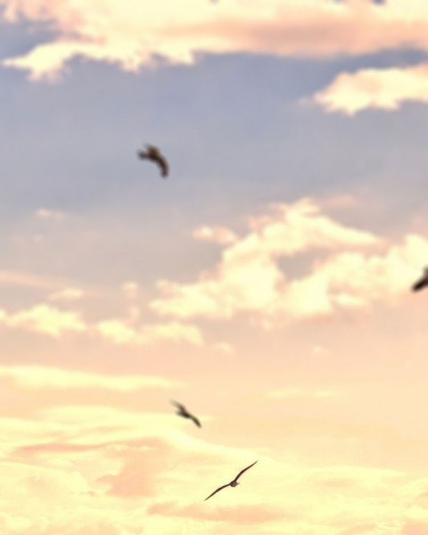 Nature Sky Photo Editing Background Download | OyePhoto