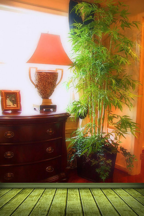 Nature Studio Outdoor Background Download | OyePhoto