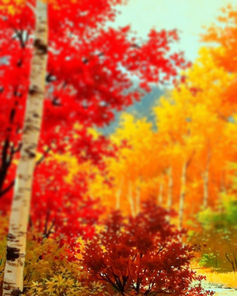 Beautiful Natural Backgrounds For Photo Editing