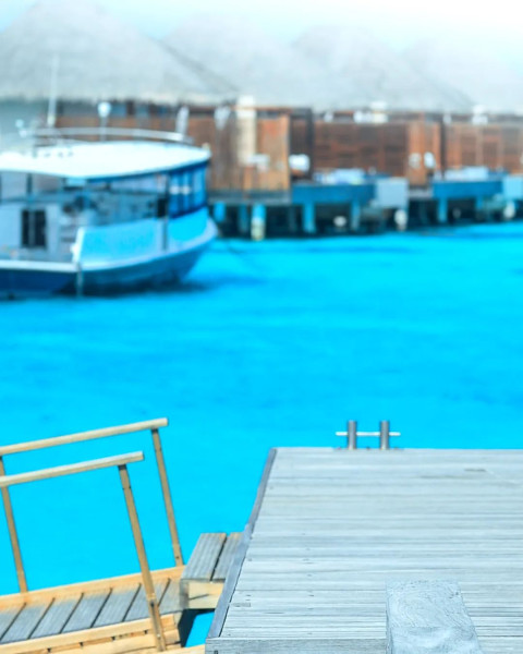 New Creative HD Poart Background Free Images Download Photo | OyePhoto