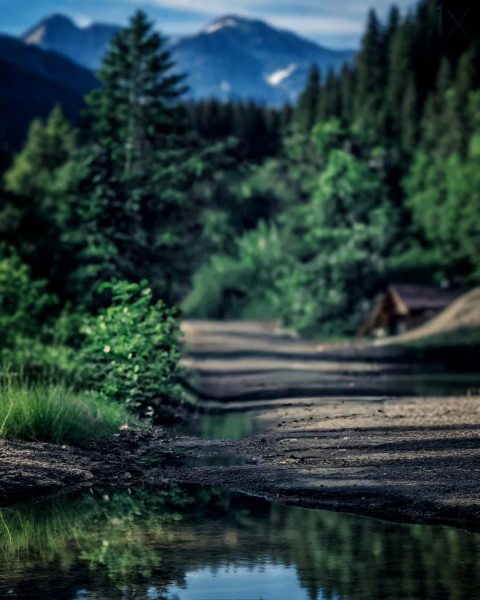 Photo Editing Dark Night Nature Background Hd Download | OyePhoto
