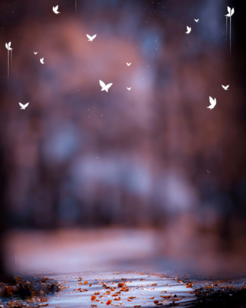 Photoshop CB Birds Background Full HD Download For Editing | OyePhoto