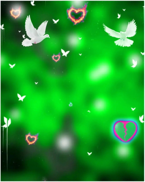 Photoshop HD Birds Background Download For CB Editing | OyePhoto