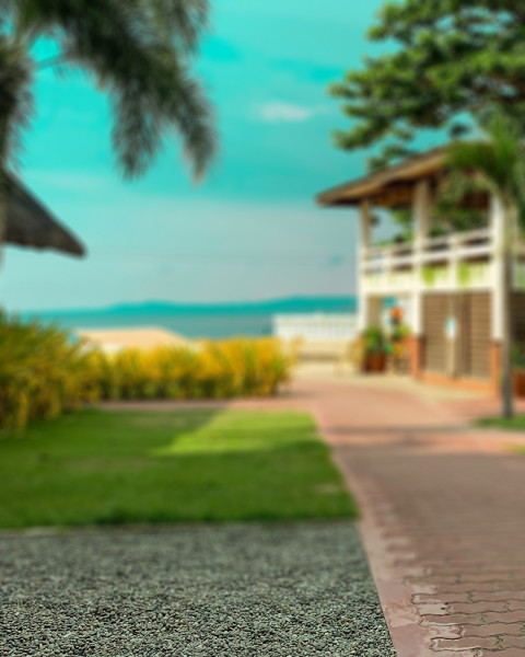 Photoshop Nature Photo Editing Garden Background Free | OyePhoto