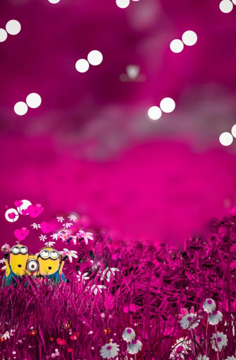 Pink CB HD Background For Photoshop Editing | OyePhoto