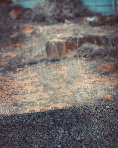 Pranav PG Background HD For Snapseed Photo Editing | OyePhoto