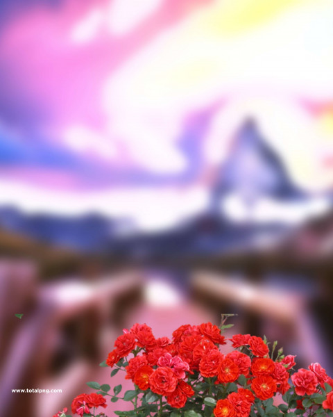 Red Flowers CB Photoshop Editing Background | OyePhoto