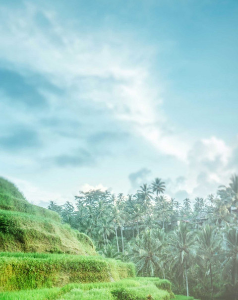 Sky Blur CB Background For Photo Editing HD | OyePhoto