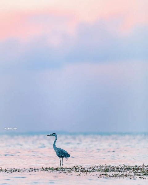 Sky Manipulation PicsArt Background Full HD | OyePhoto