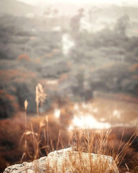 Snapseed HD Background Download For CB Editing | OyePhoto