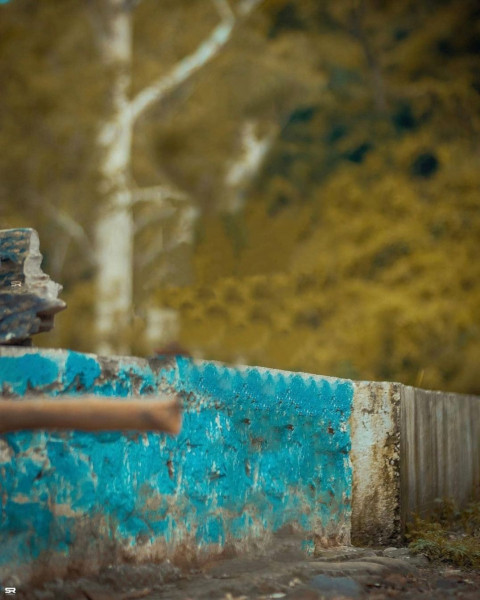 Snapseed HD Photo Background Editing | OyePhoto