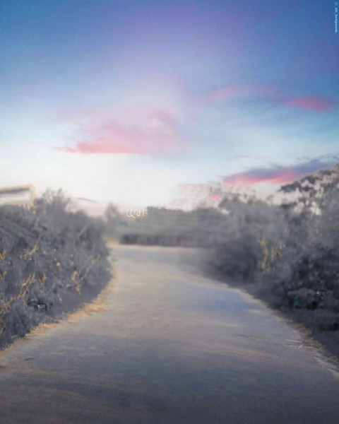 Snapseed HD Photo Background Editing | OyePhoto