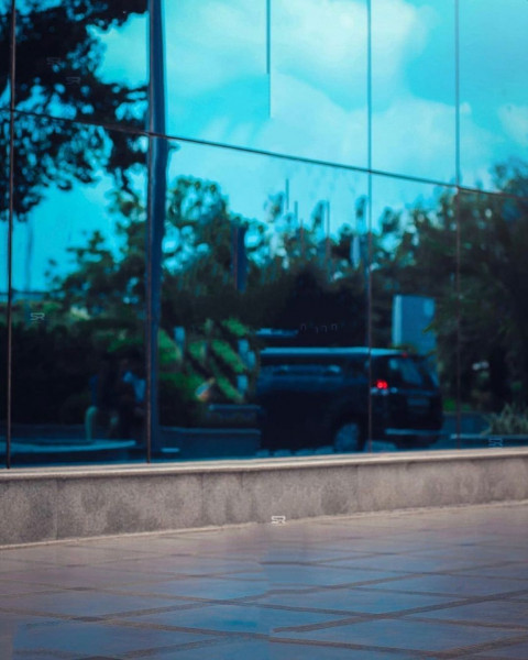 Snapseed HD Photo Background Editing | OyePhoto